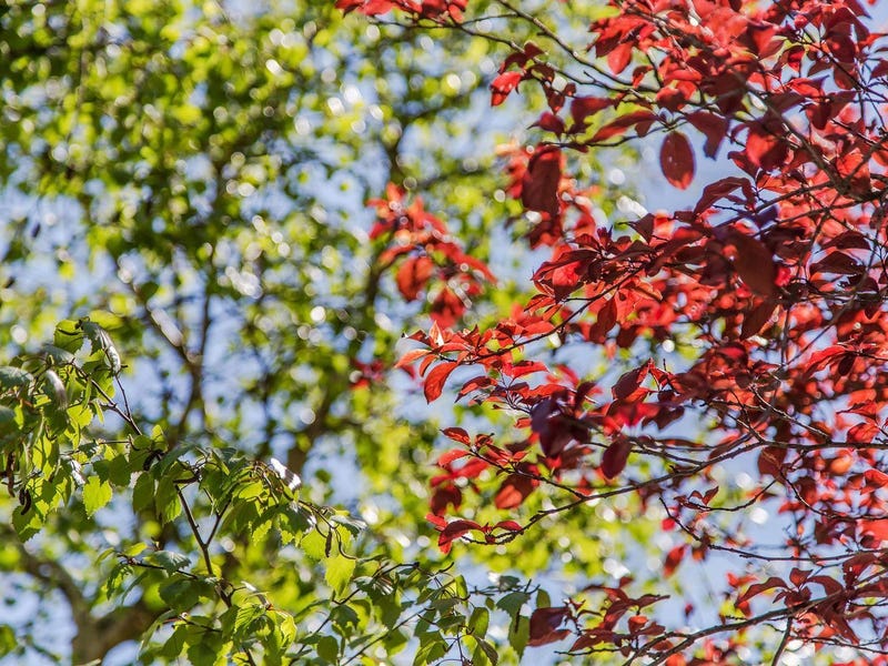 401/88 Frome Street, Adelaide, SA 5000 - Property Details