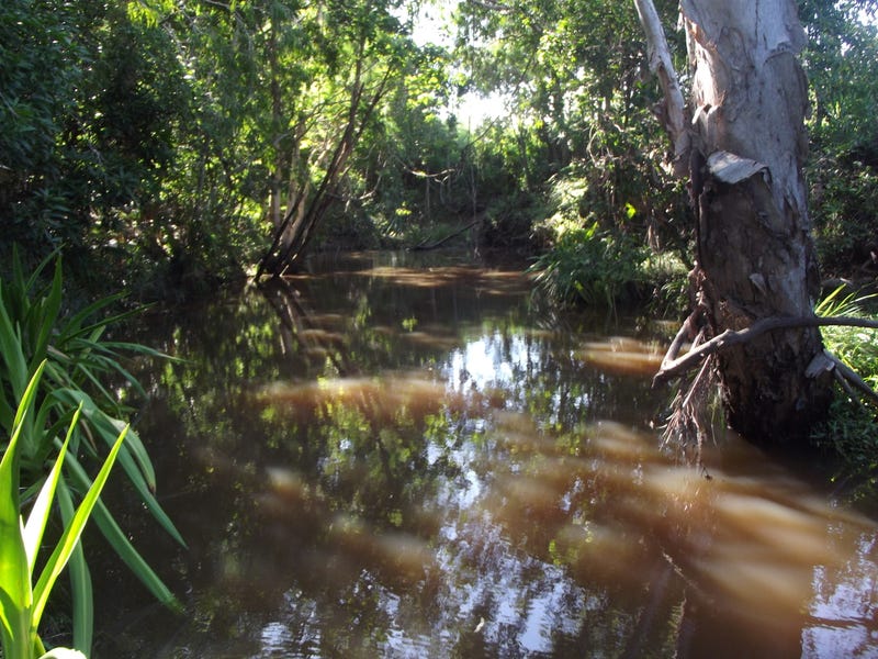 Property 700076802, Gargett, Qld 4741 - Property Details