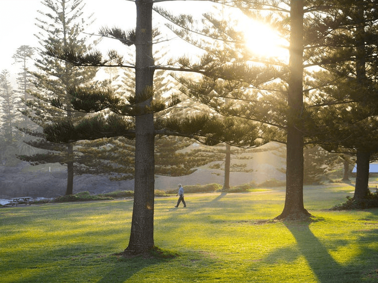 2 Surfleet Place, Kiama, NSW 2533 - Apartment for Sale - realestate.com.au