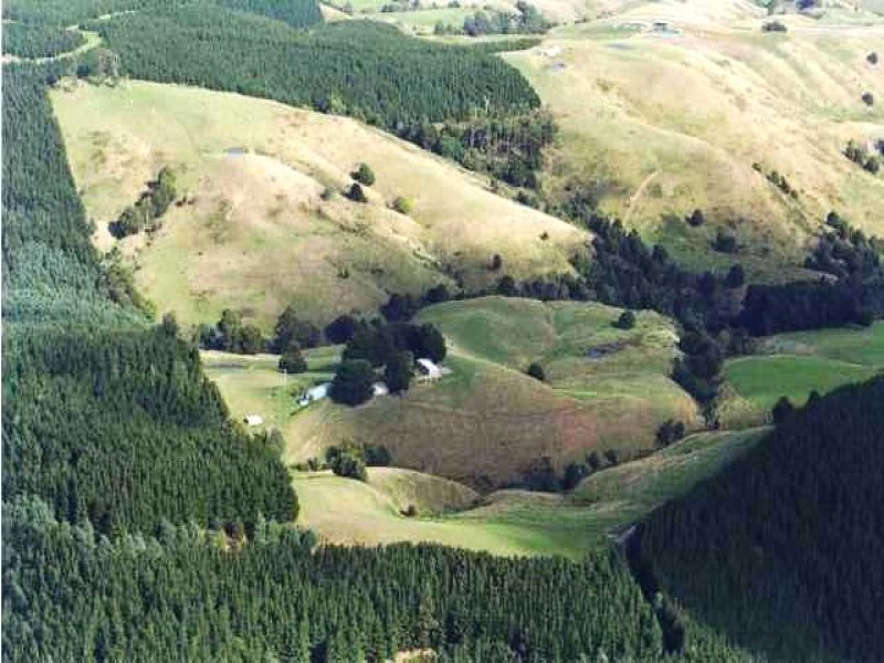 117 Allmans Road, Trida, Vic 3953 - Property Details