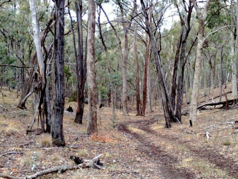 58 GLAMORGAN ROAD,, Yandoit, Vic 3461 - Property Details