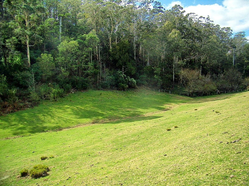 46 The Snake Track, Kiah, NSW 2551 - Property Details