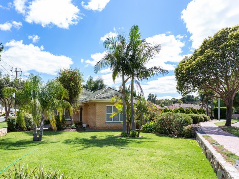 6 Parkwood Avenue, Paradise, SA 5075 - realestate.com.au