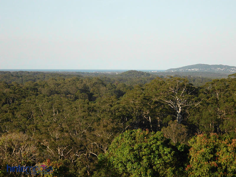 47 Coast View Parade, Doonan, QLD 4562 - realestate.com.au