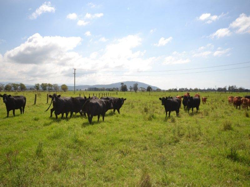 750 Greenwell Point Road, Pyree, NSW 2540 - Property Details