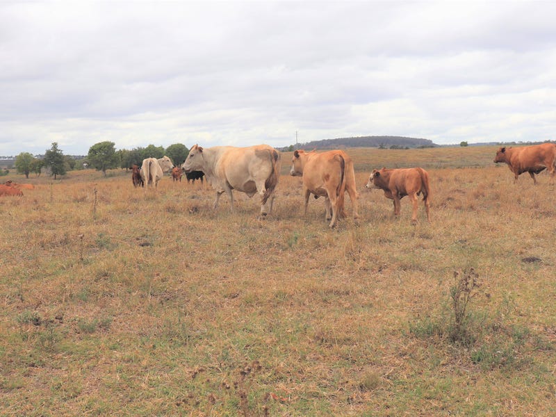 255 Middle Road, Kinleymore, Qld 4613 - Property Details