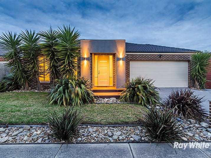 8 Olive Road, Lynbrook, VIC 3975 - realestate.com.au