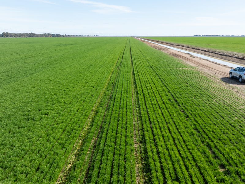 Smeatonvale Laterals Boree-Morago Rd, Deniliquin, NSW 2710 - Cropping ...