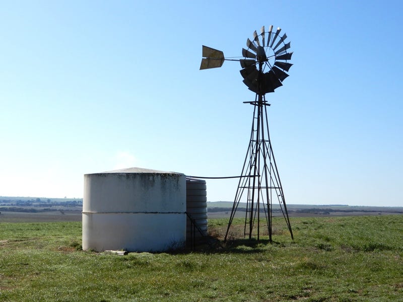 281 Kielow Road, Peake, SA 5301 - Cropping for Sale - realestate.com.au