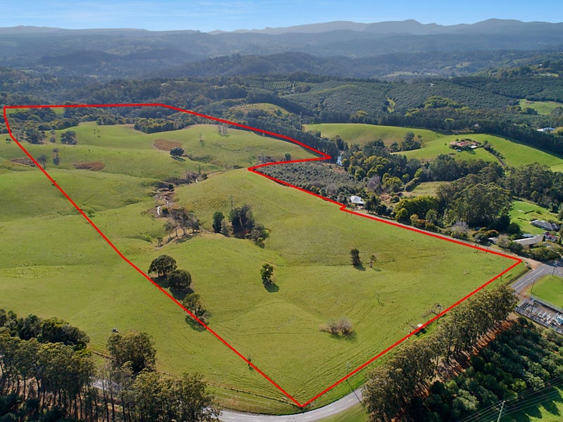 1383 Dunoon Road, Dunoon, NSW 2480 - Property Details