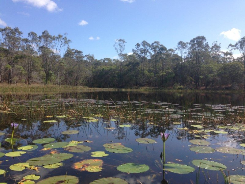 613 Diamond Hill Road, Rosedale, QLD 4674 - realestate.com.au