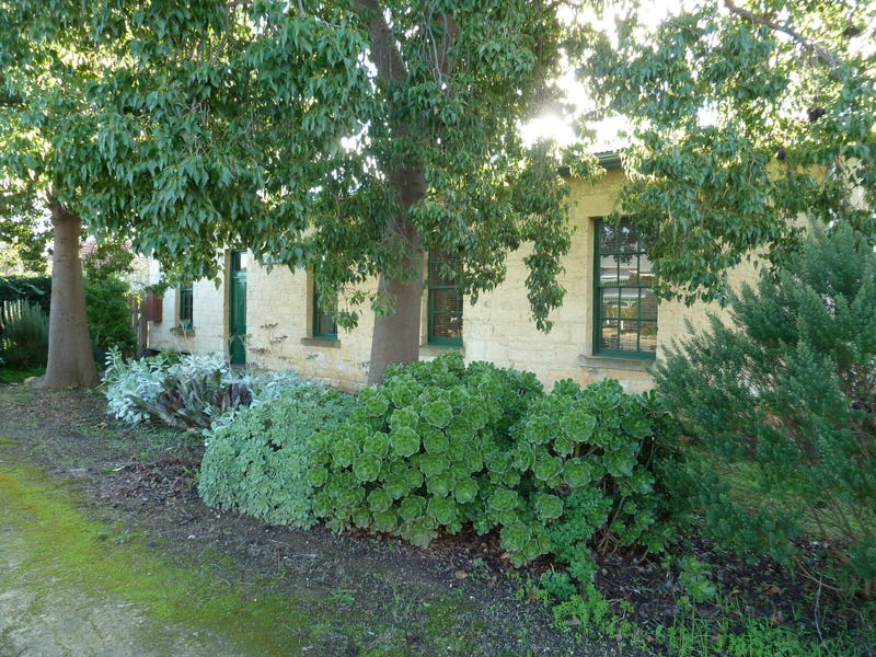 33 Riddoch Street, Penola, SA 5277 - realestate.com.au