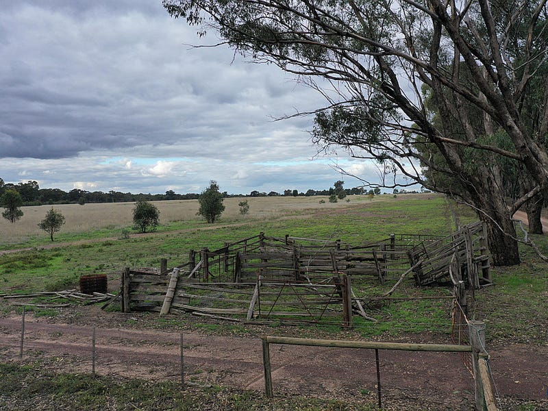 250 Buffalo Swamp Road, Murchison, VIC 3610 - realestate.com.au