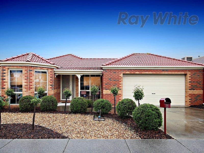 13 Dorrington Street, Point Cook, VIC 3030 - realestate.com.au