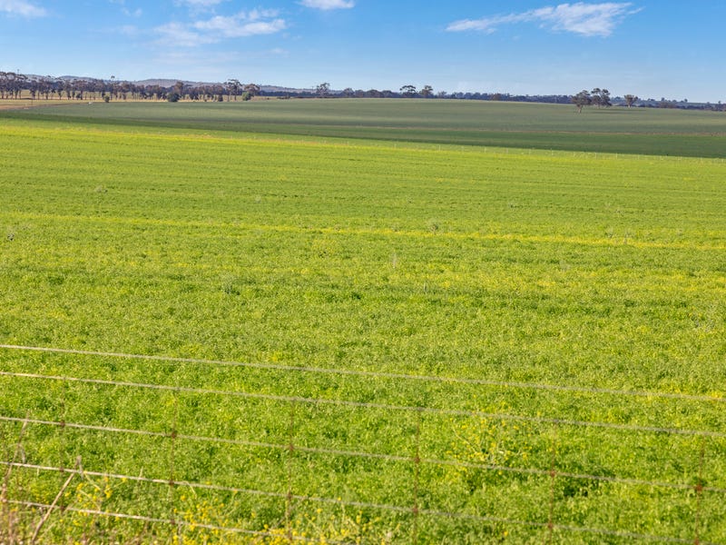 'The Block' Job Road, Freeling, SA 5372 - Property Details