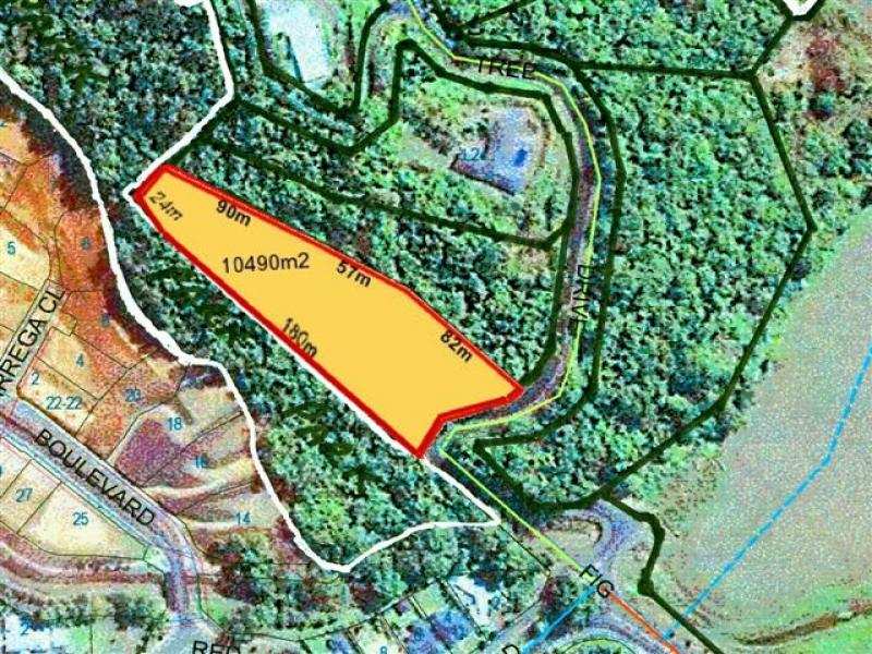 41-43 Fig Tree Drive, Caravonica, QLD 4878 - realestate.com.au