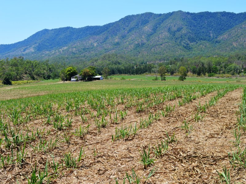 6238 Mackay - Eungella Road, Netherdale, QLD 4756 - realestate.com.au