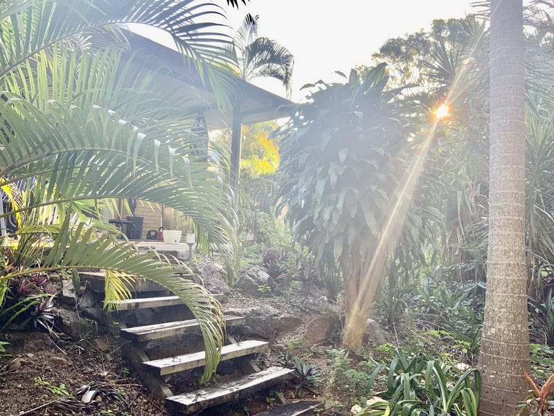 52 Captain Cook Drive, Agnes Water, QLD 4677 - realestate.com.au