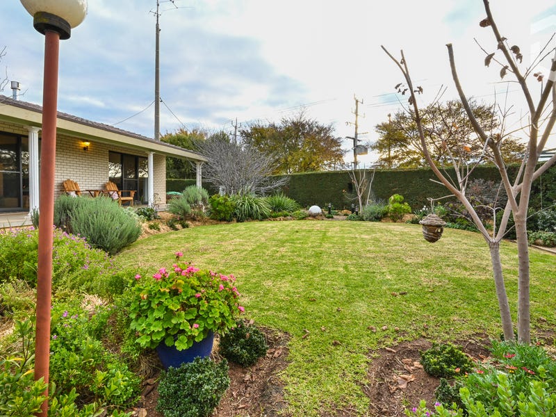 3 Gidgee Street, Leeton, NSW 2705 - Property Details