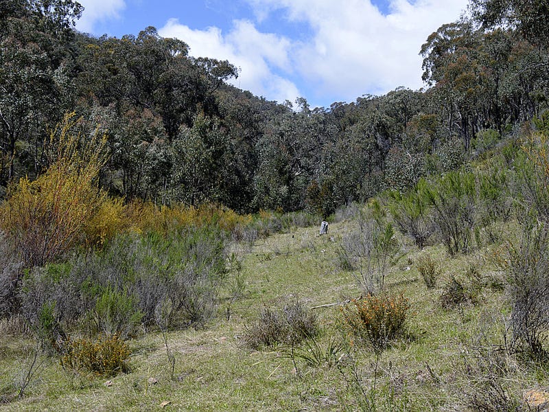 1781 Queens Pinch Road, Mudgee, NSW 2850 - Property Details