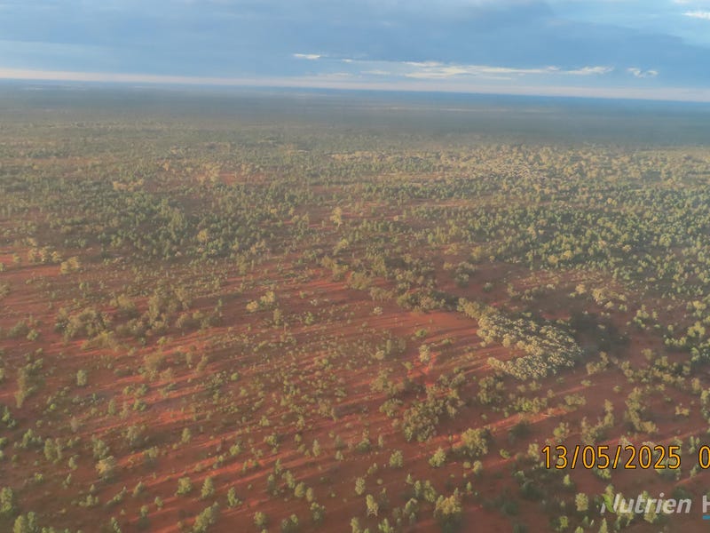 * Ryandale, Cobar, NSW 2835 - Cropping for Sale - realestate.com.au