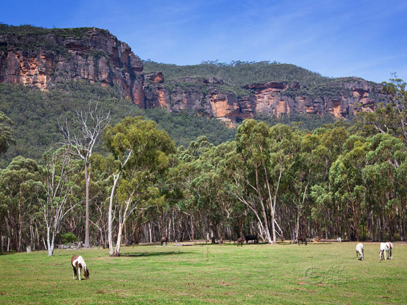 829 Megalong Road, Megalong Valley, NSW 2785 - Property Details