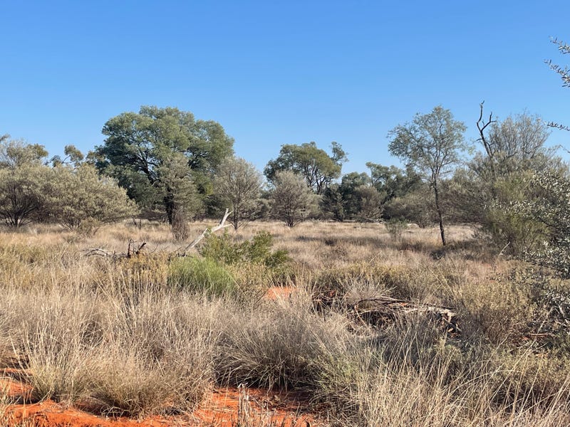 " Wandilla ", Eulo, Qld 4491 - Property Details