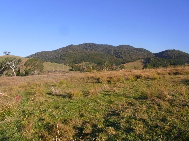 Lot 342 Mt Darragh Road, Wyndham, NSW 2550 - Property Details