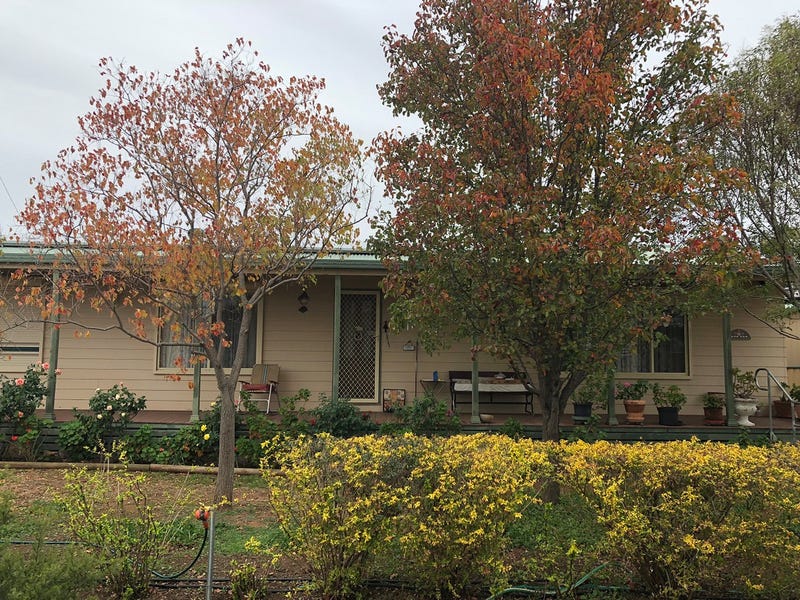 27 York Street, Forbes, NSW 2871 - realestate.com.au