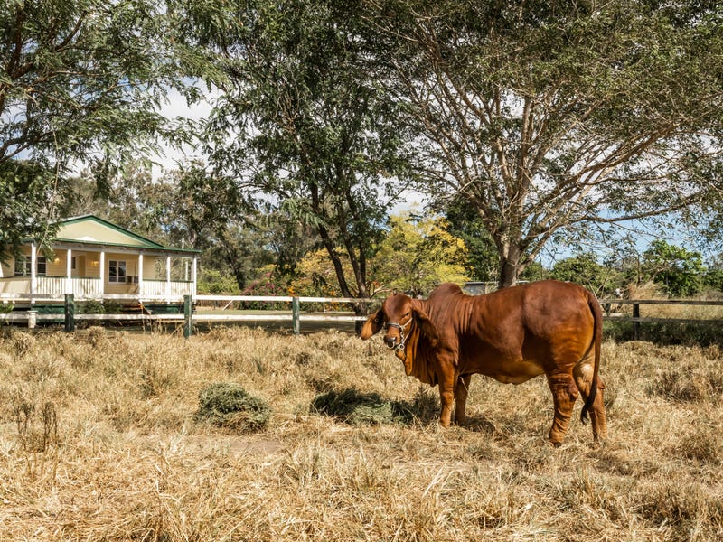 796 Birthamba Road, Bucca, Qld 4670 - Property Details