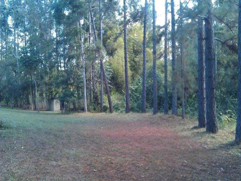 138 Euluma Creek Road, Julatten, Qld 4871 - Property Details