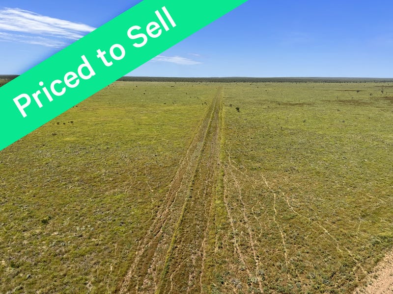 Benmara Station, Creswell, NT 0852 - Livestock for Sale - realestate.com.au