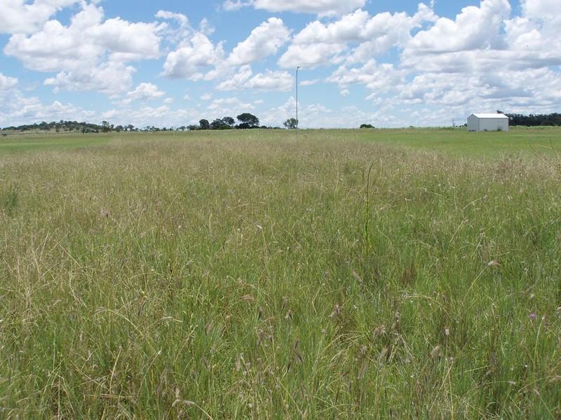 3 Moore Street, Kulpi, Qld 4352 - Property Details