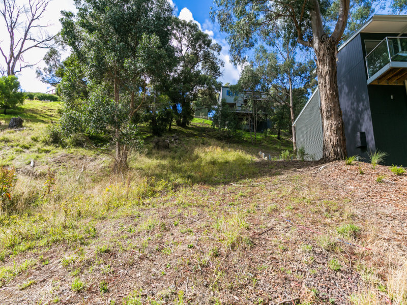 3 Richardson Boulevard, Lorne, VIC 3232 - realestate.com.au