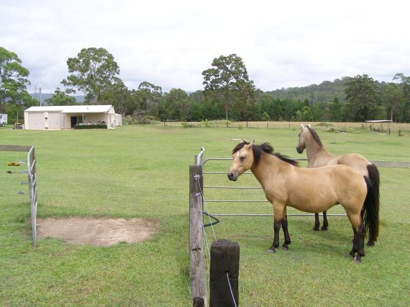 Property 105387705, Chevallum, Qld 4555 - Property Details