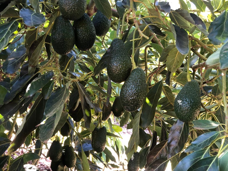 109 Wareo Road, Robinvale, Vic 3549 - Property Details