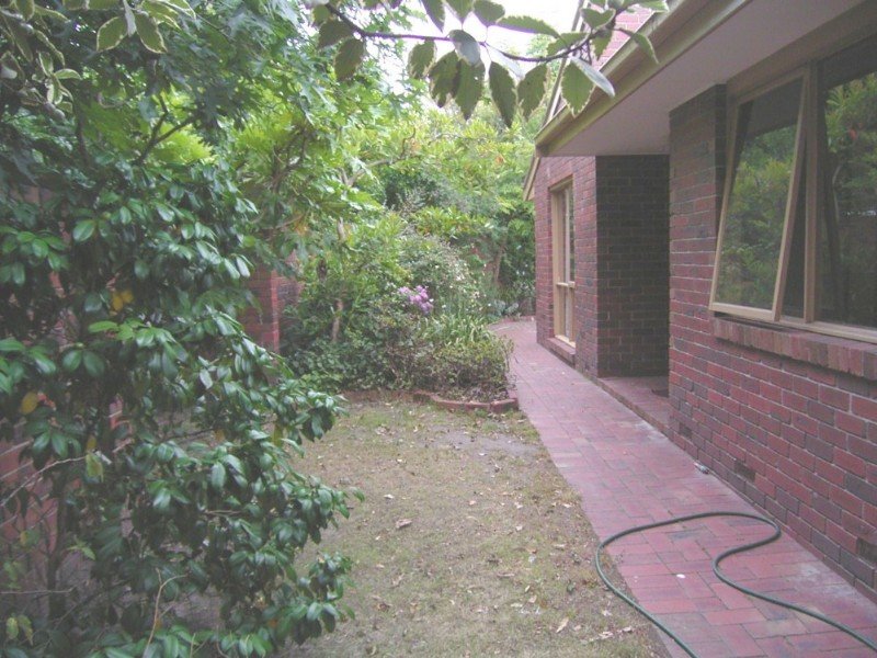 2/73 Highfield Road, Canterbury, VIC 3126 - realestate.com.au