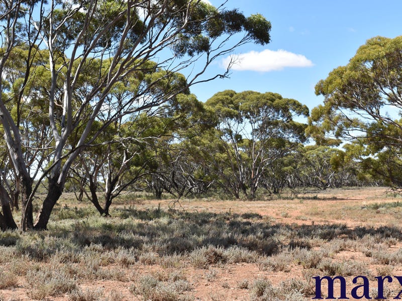 Sec 290 Angle Road, Sutherlands, SA 5374 - Property Details