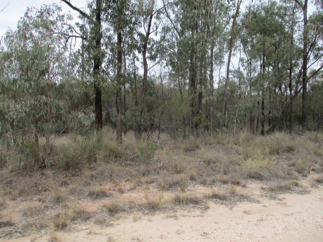 Lot/55 Ridge Road, Tara, Qld 4421 - Property Details