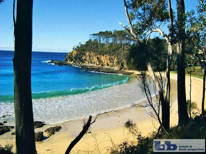 350 George Bass Drive, Lilli Pilli, NSW 2536 - realestate.com.au