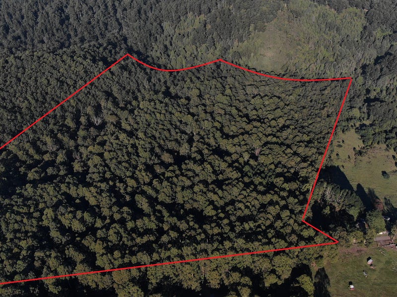 255 Upper Gellibrand Road, Barramunga, Vic 3249 - Property Details