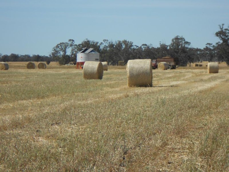 SECTION 197 Cnr Frances & Wiese Rd, Bordertown, SA 5268 - Property Details