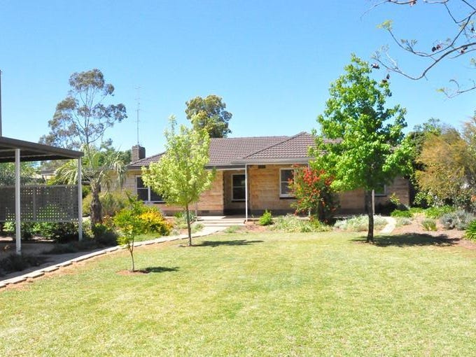 195 Rex Andrew Road, Golden Heights, SA 5322 - realestate.com.au
