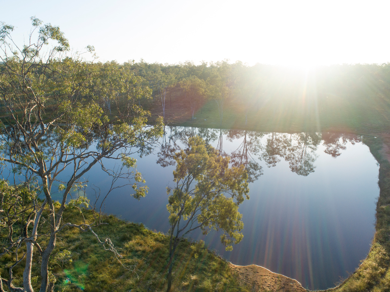 Land for Sale in Plainland, QLD 4341 - realestate.com.au