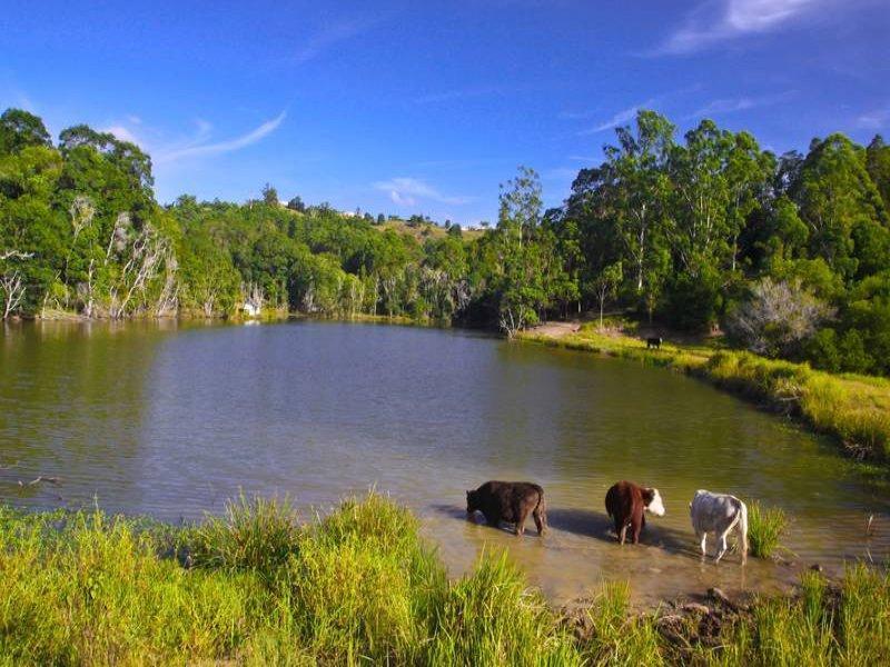 109 The Channon Road, The Channon, NSW 2480