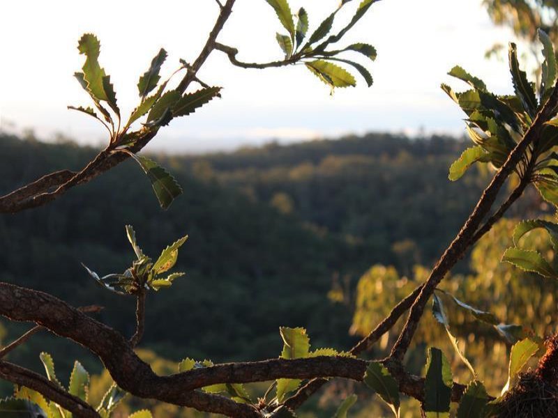 Sold Property Prices & Auction Results in Glenorie, NSW 2157 (+2 ...