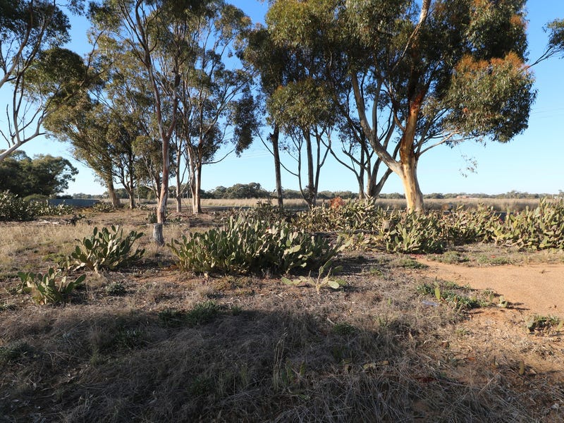 Crn Echuca-Serpentine & Prairie Road, Calivil, Vic 3573 - Property Details