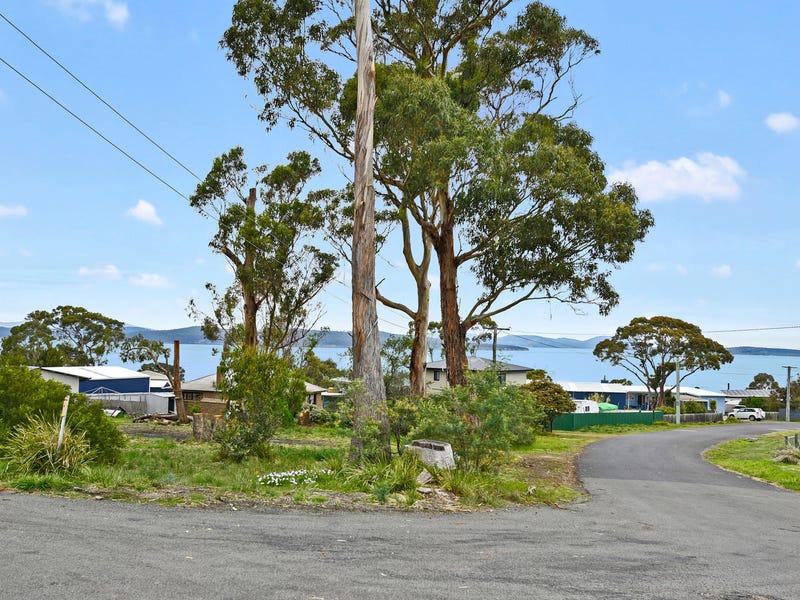 20 Boobyalla Street, Primrose Sands, TAS 7173 - realestate.com.au