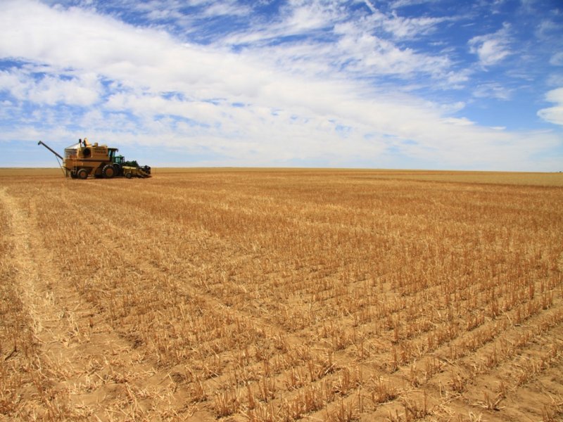 Lot 501 Mandiga-Marshall Rd, Gabbin, WA 6476 - Property Details