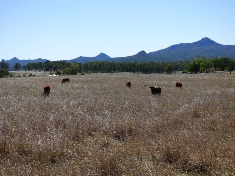 Limestone Ridges Road, Kalbar, Qld 4309 - Property Details